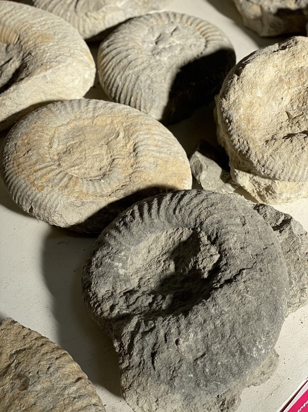 Harlow Sculpture Town Visit to Portland quarries, sculpture park and ...