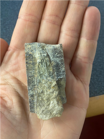 Harlow Sculpture Town STAIR: Irena Posner, The Wild Escape and Earth ...